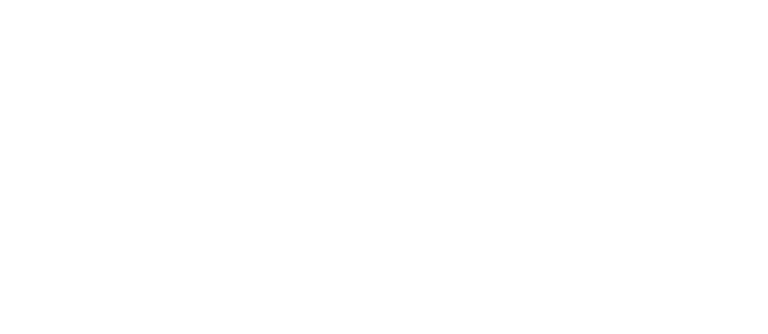 Companies - ICAFe Companies